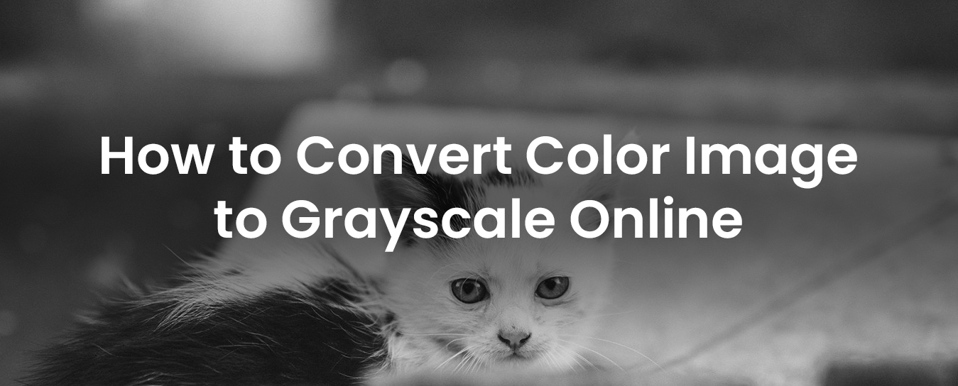 How to Convert Color Image to Grayscale Online